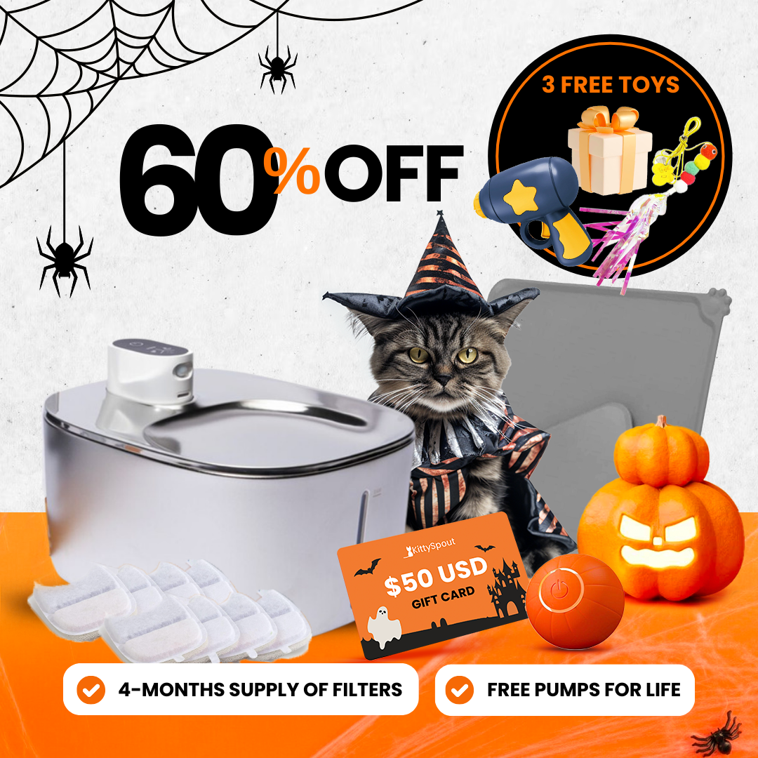 Wireless Hydration & Playtime Value Bundle – KittySpout