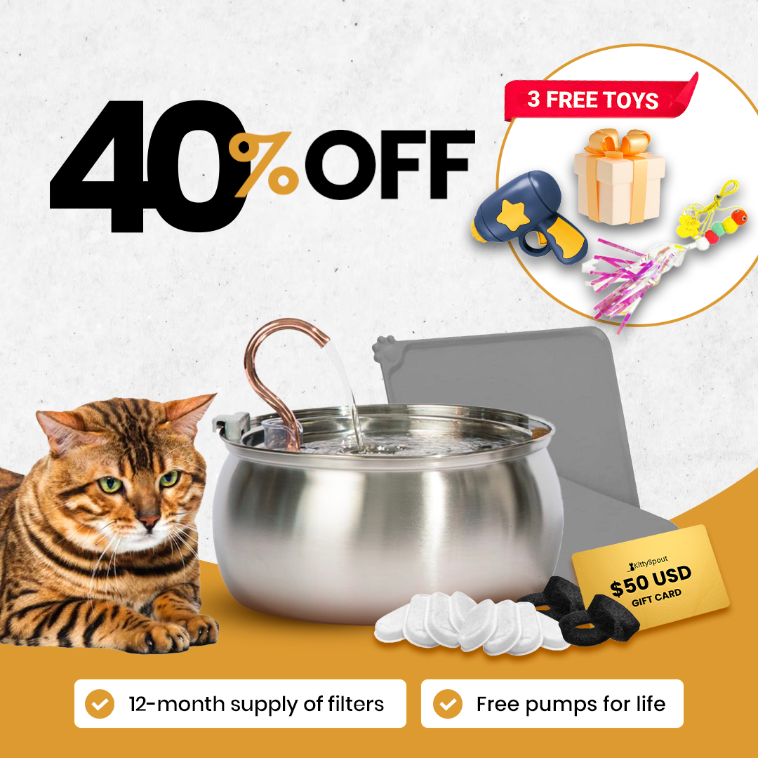 KittySpout Value Bundle