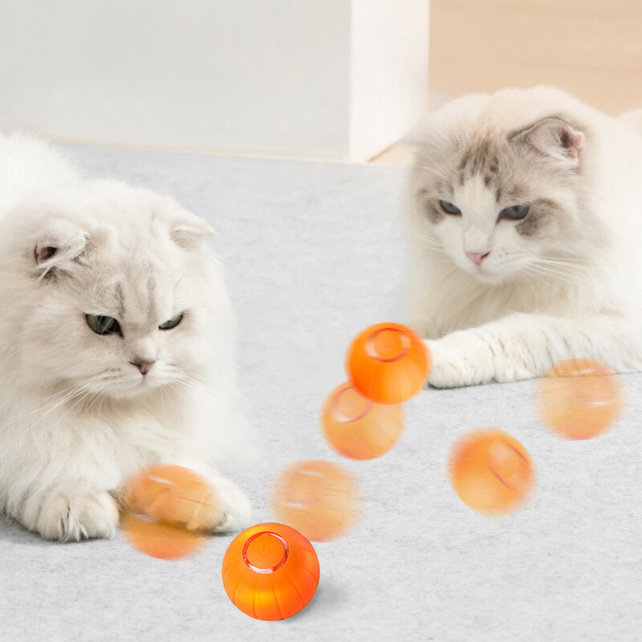 The KittyBall™ - Smart Cat Ball – KittySpout