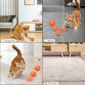 The KittyBall™ - Smart Cat Ball – KittySpout