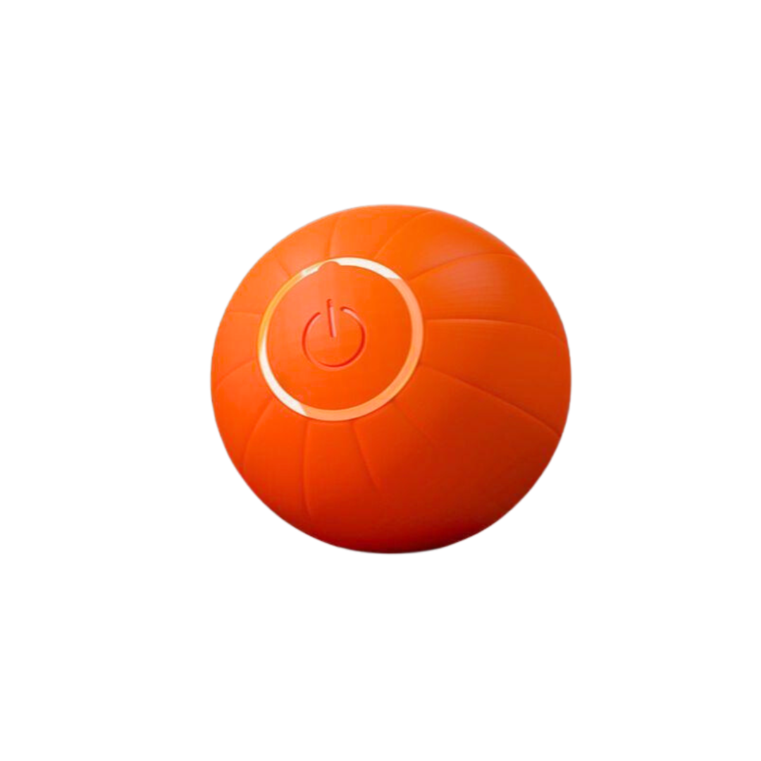 The KittyBall™ - Smart Cat Ball – KittySpout