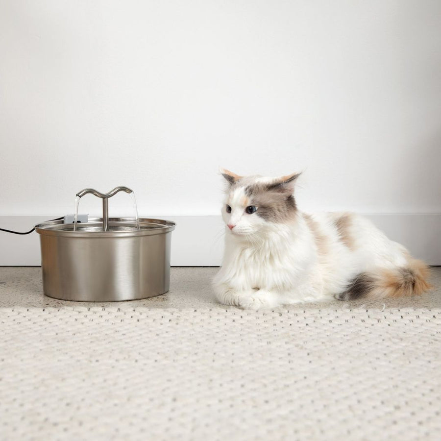 The KittySpout™ - TwinFlow Fountain