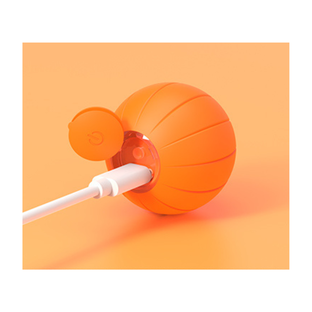 The KittyBall™ - Smart Cat Ball – KittySpout