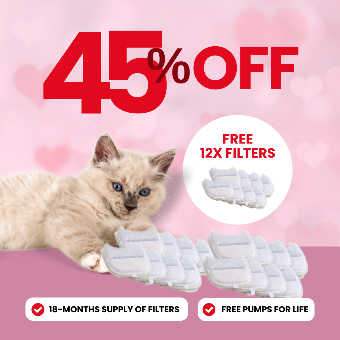 24x Filter Sets + 12x FREE - Wireless Filters – KittySpout