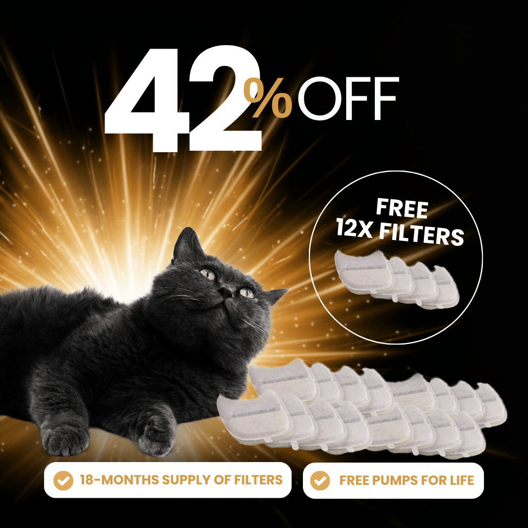 Filters & Parts – KittySpout