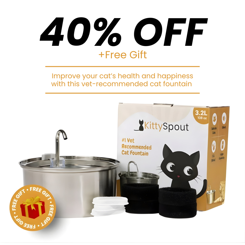KittySpout™ - Water Fountains