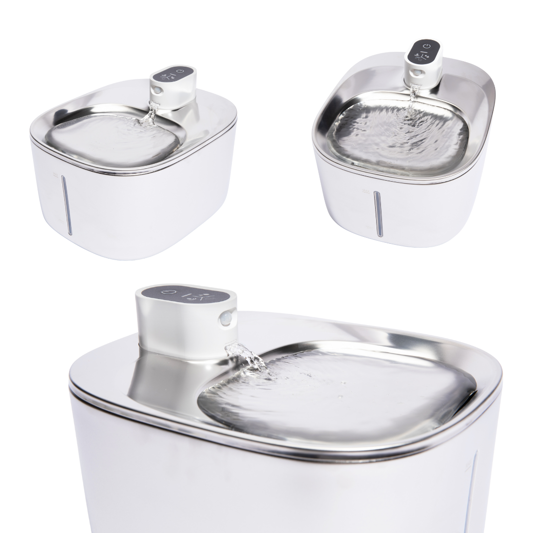 Wireless Hydration & Playtime Value Bundle – KittySpout