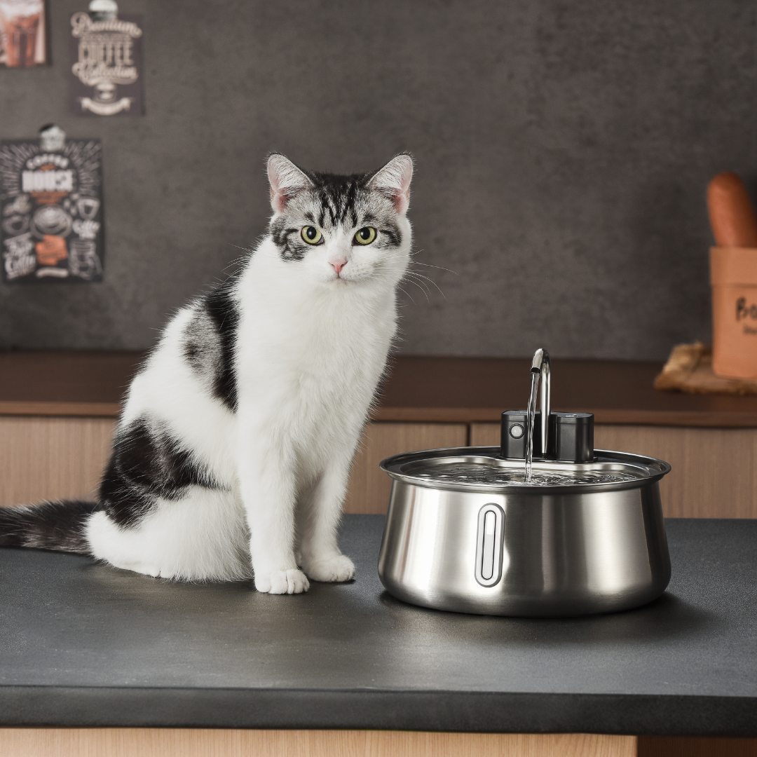 Wireless 2.0 & 2.2L Fountain Filters – KittySpout