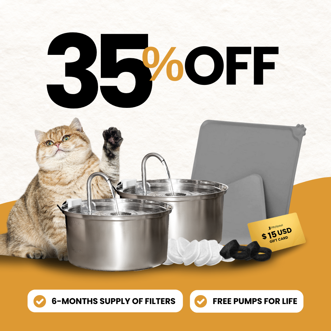 Big Cat Family Bundle – KittySpout