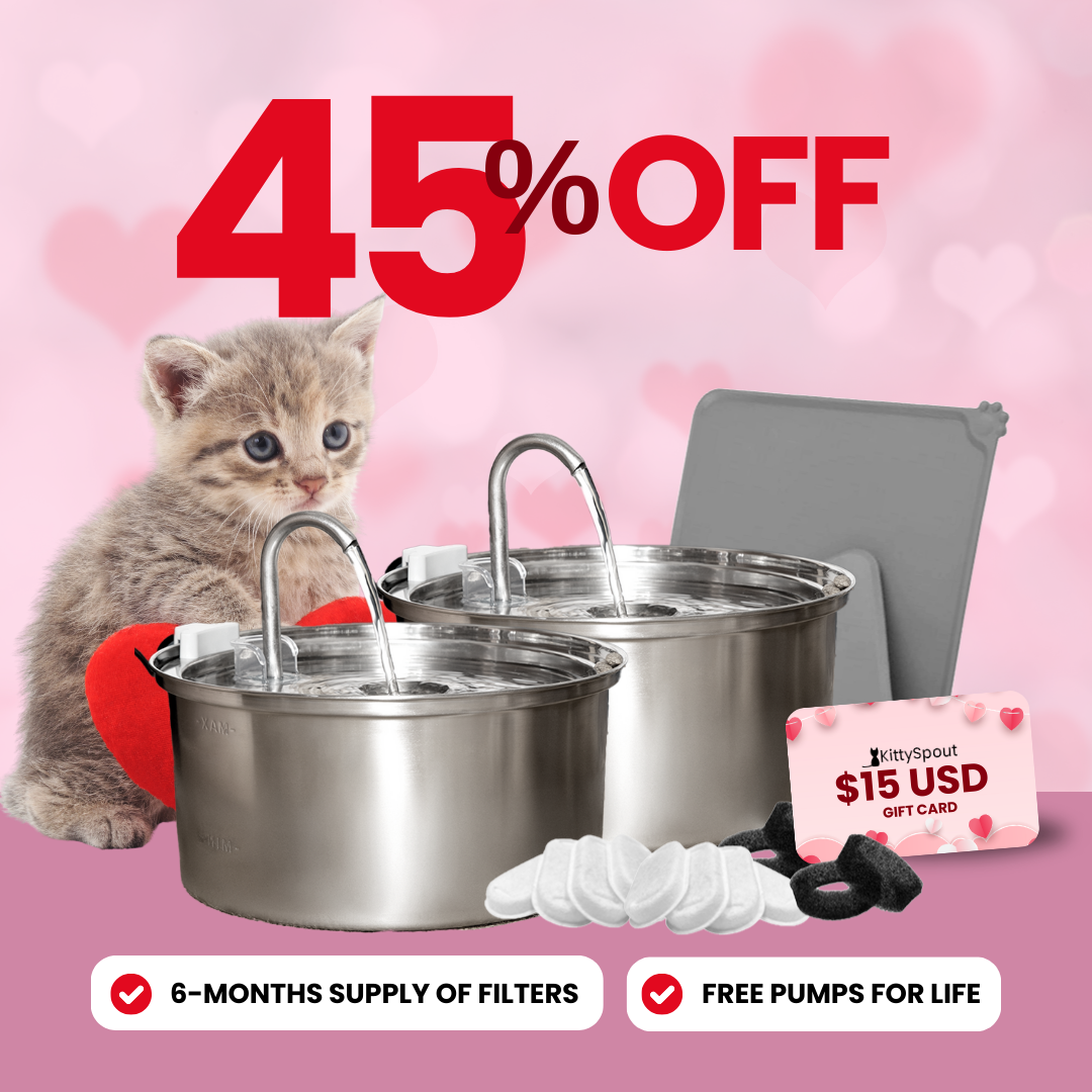 The KittySpout™