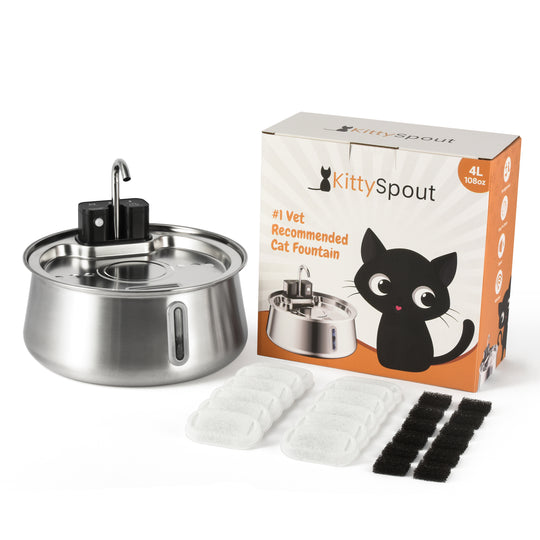 The KittyBall™ - Smart Cat Ball – KittySpout