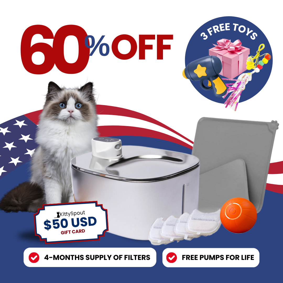 Wireless Hydration & Playtime Value Bundle – KittySpout