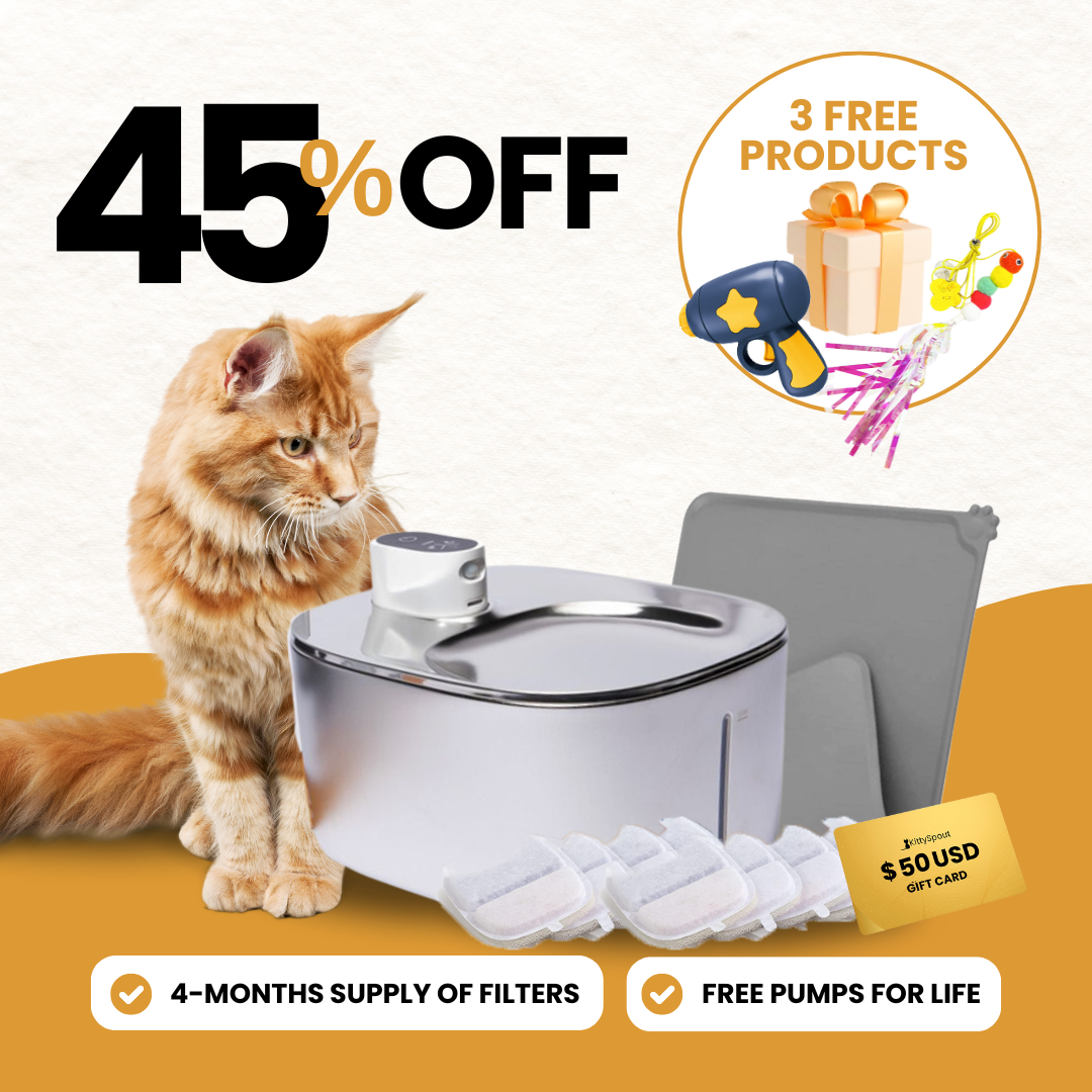 Wireless KittySpout Value Bundle