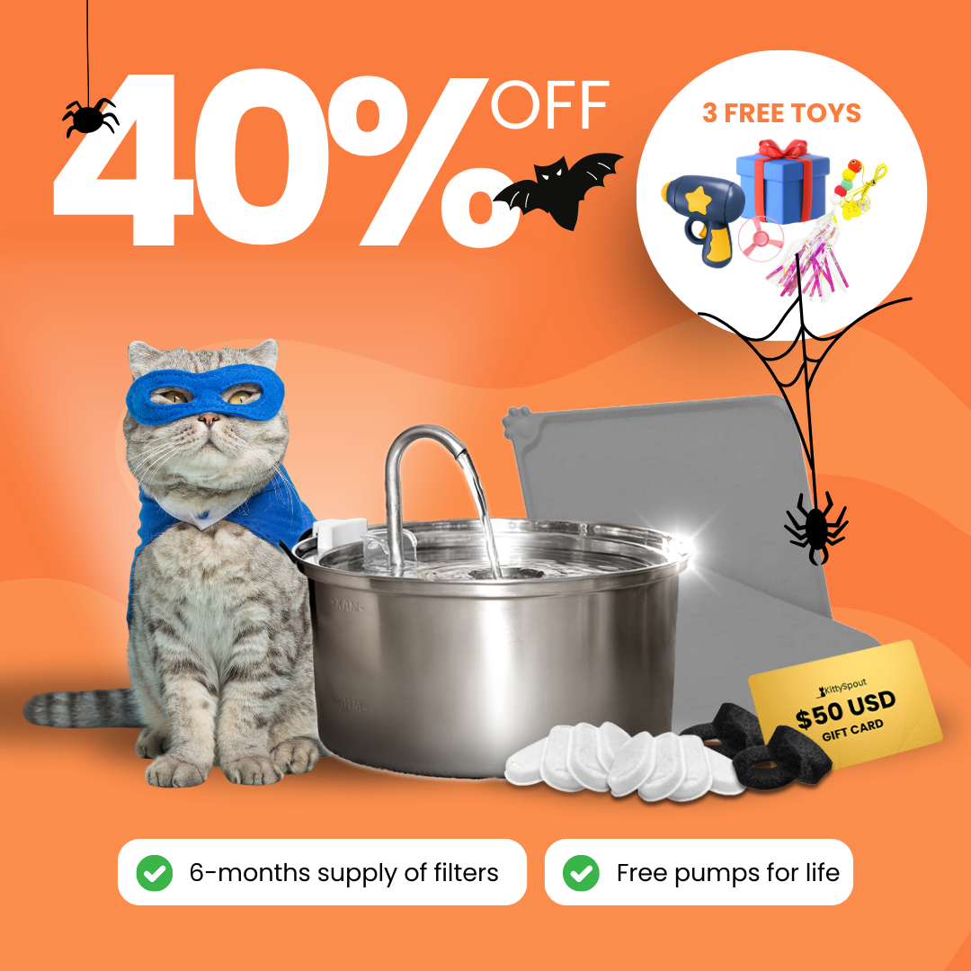 Best Sellers – KittySpout