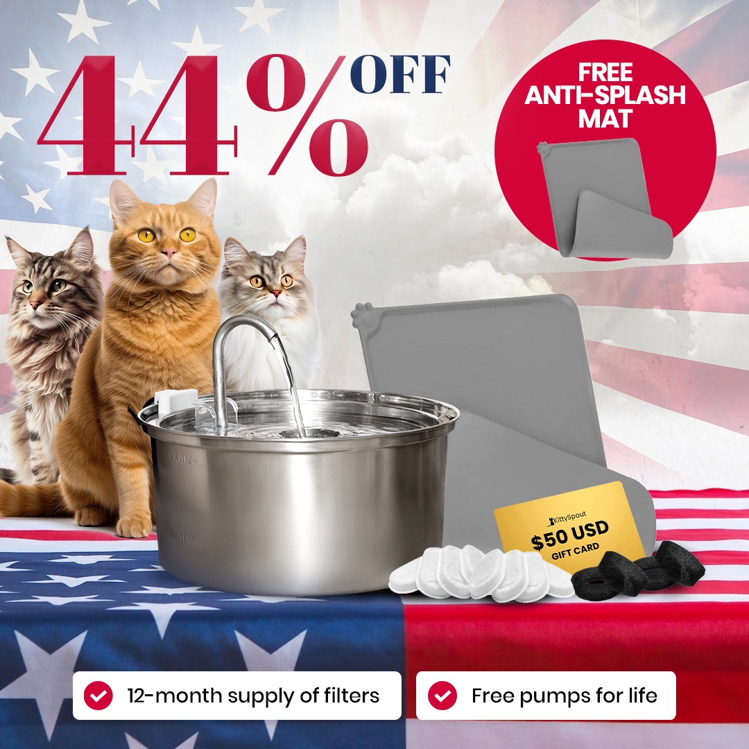 KittySpout Value Bundle