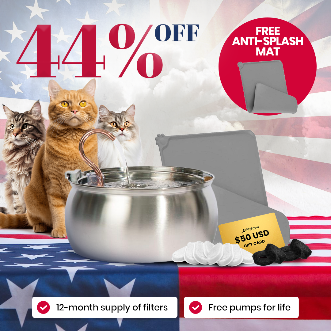 KittySpout Value Bundle