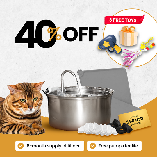 Stainless Steel Replacement Filters – KittySpout
