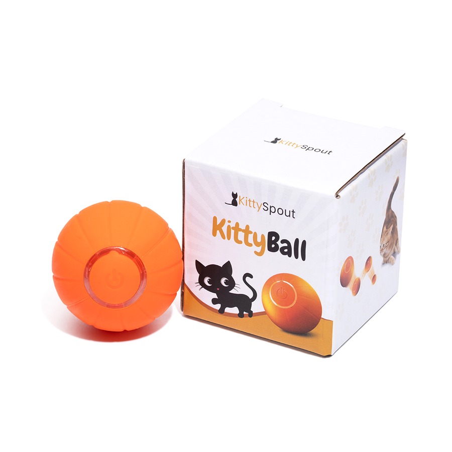 The KittyBall™ - Smart Cat Ball – KittySpout