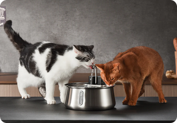 The KittySpout™ - Wireless Fountain 2.0