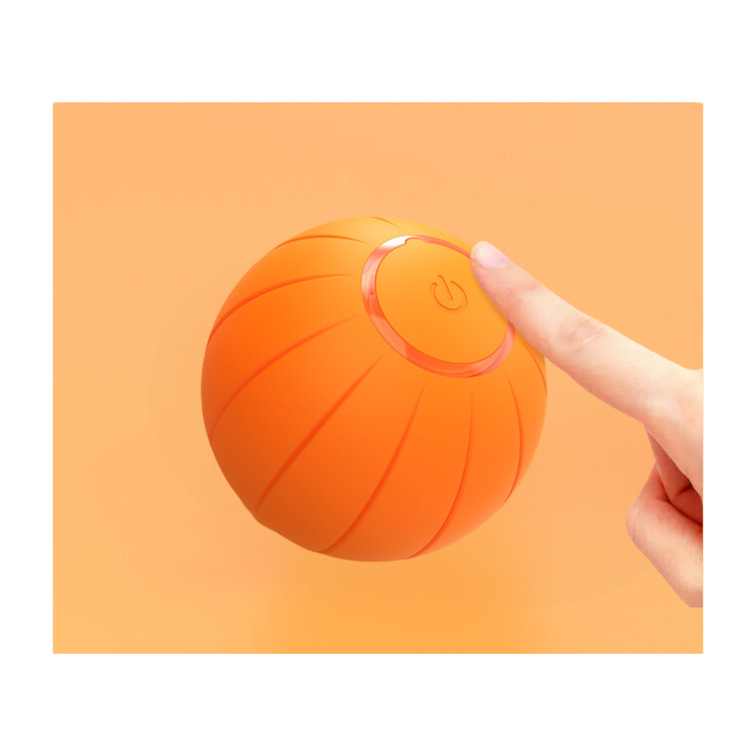 The KittyBall™ - Smart Cat Ball – KittySpout