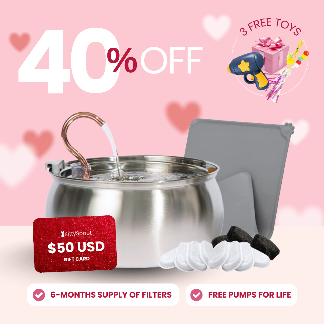 KittySpout Value Bundle