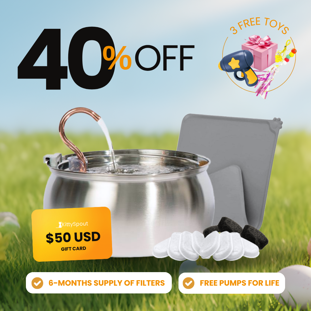KittySpout Value Bundle