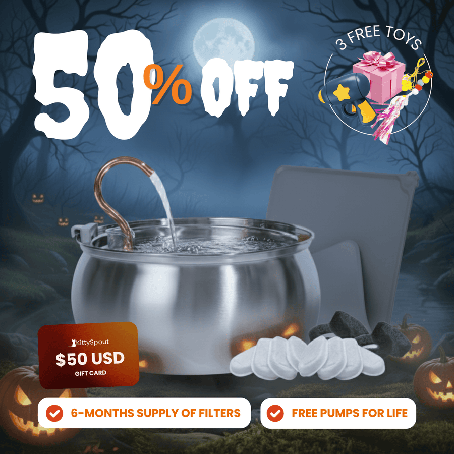 KittySpout Value Bundle