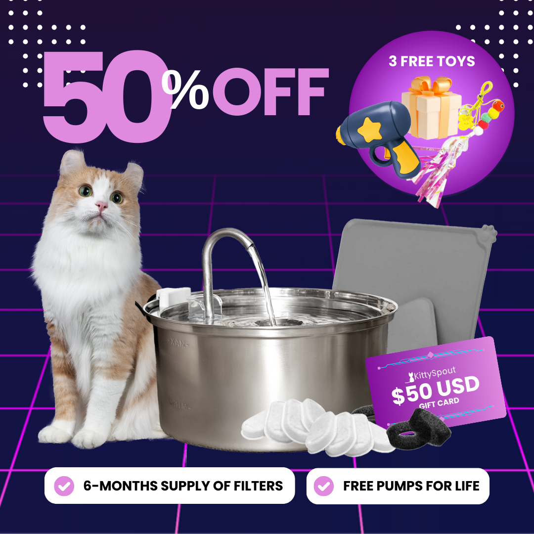 Best Sellers – KittySpout