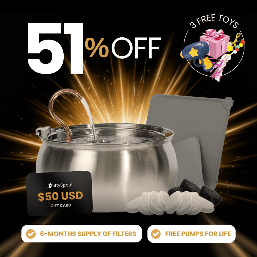 KittySpout Value Bundle