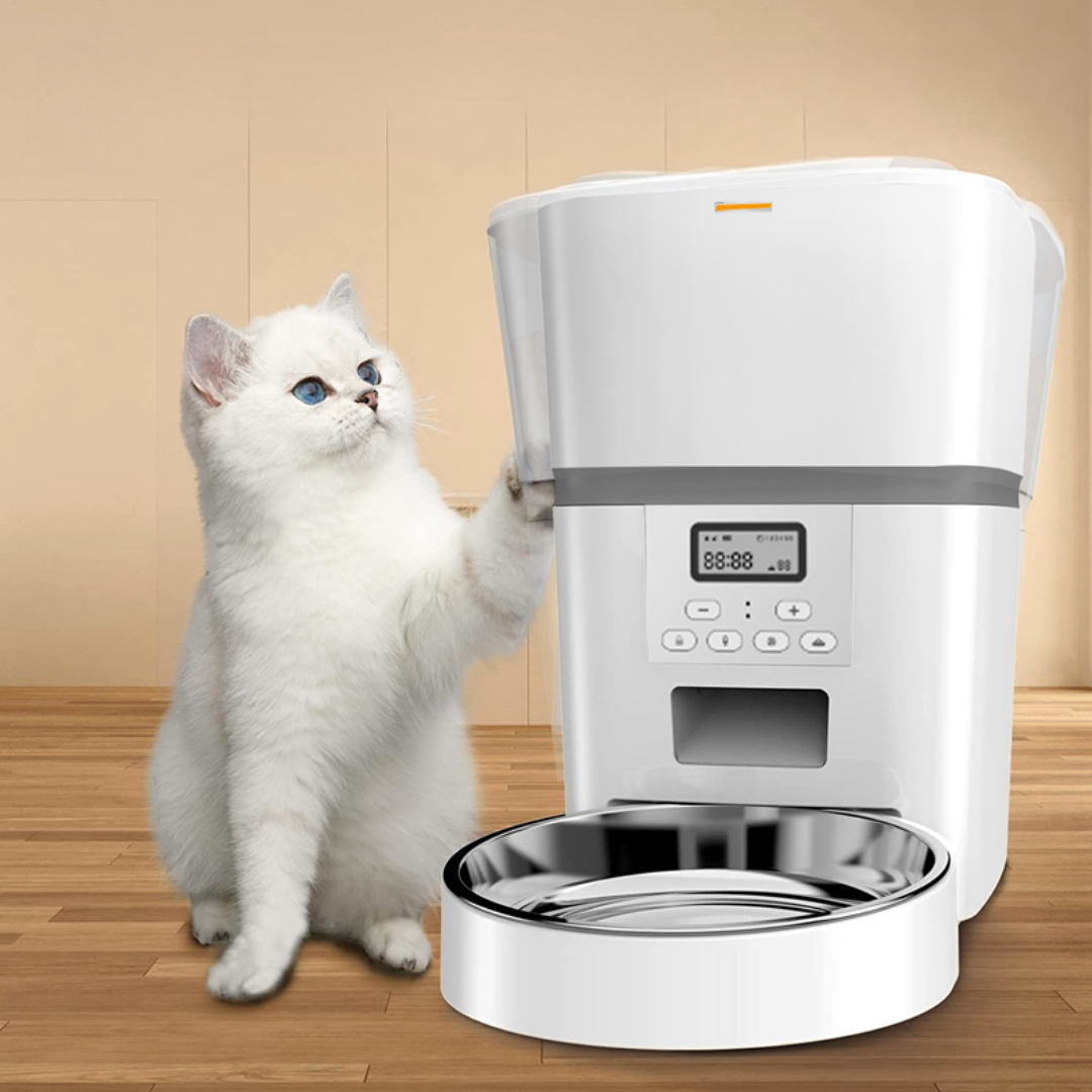 The KittyFeeder™ - Automatic Cat Feeder – KittySpout