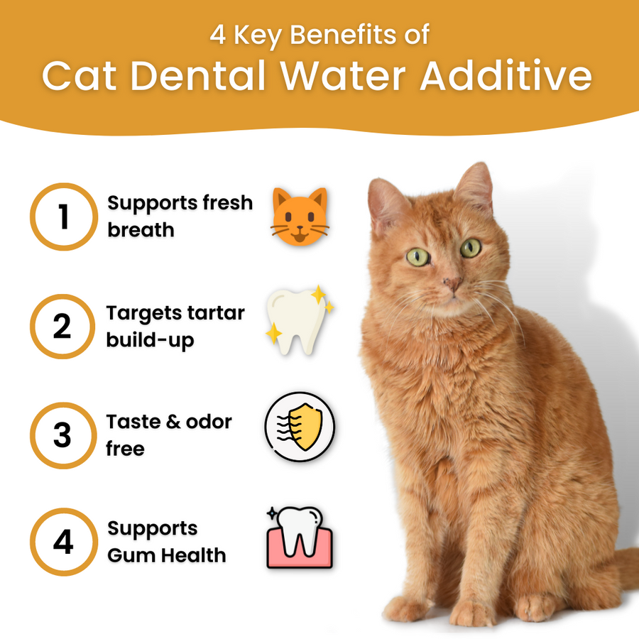 Cat Dental Formula – KittySpout