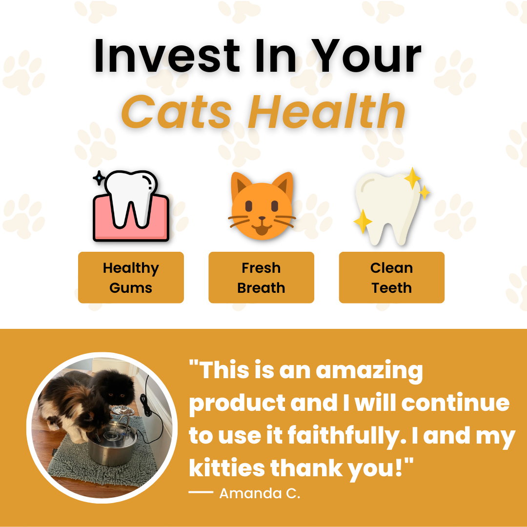 Cat Dental Formula – KittySpout