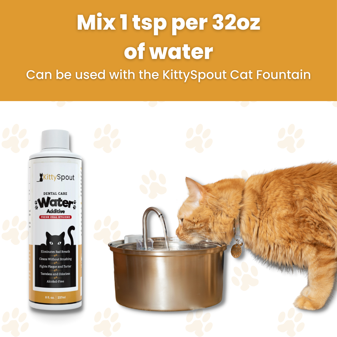 All In One Supplement Bundle – KittySpout